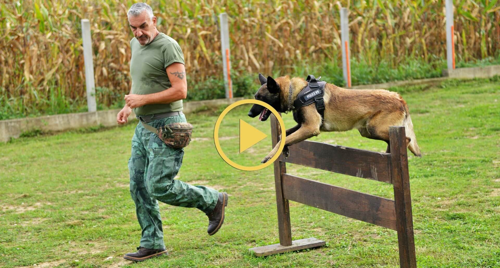 Kennel Academy - Centar za obuku pasa